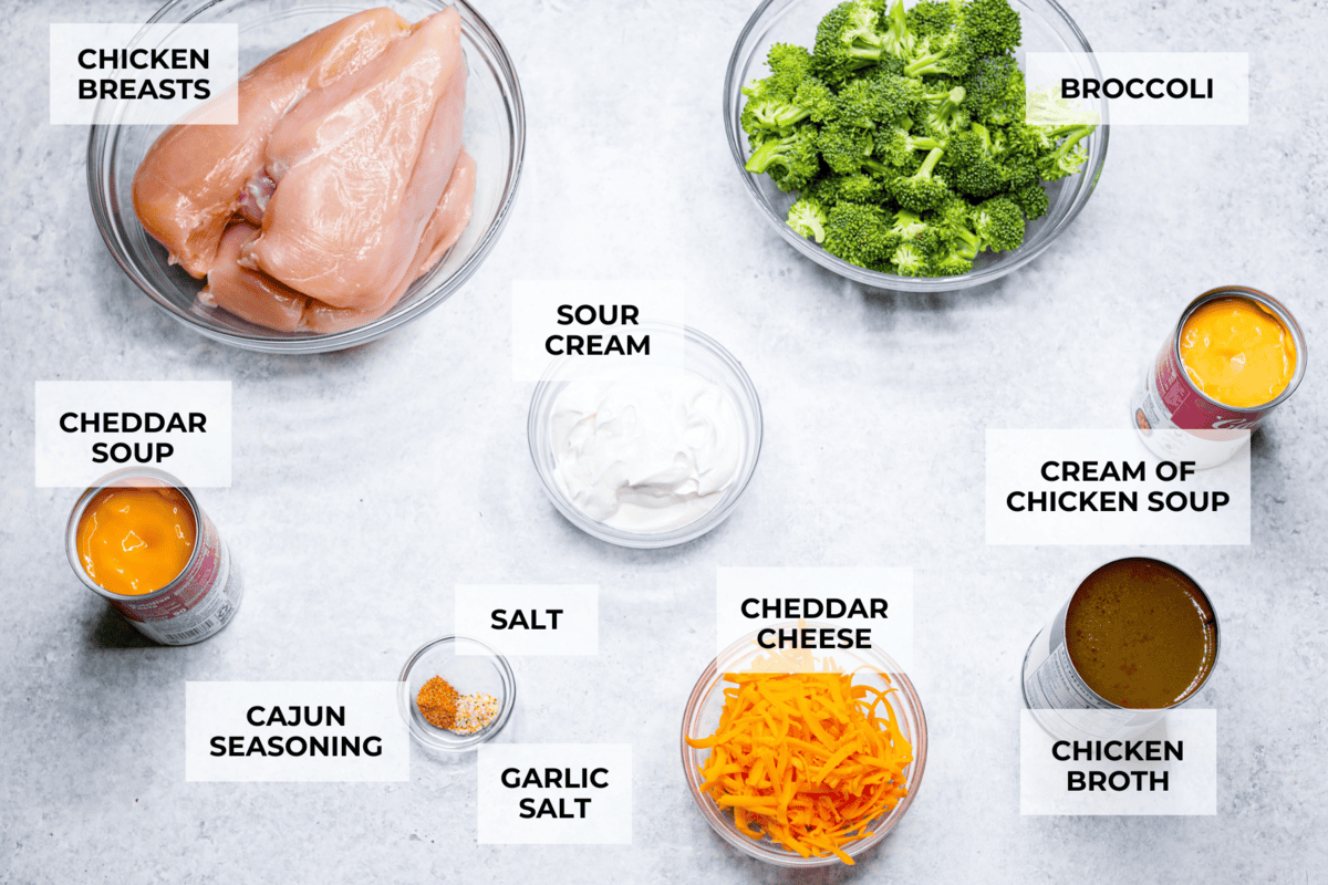 Slow Cooker Creamy Chicken and Broccoli (Over Rice) | The Recipe Critic