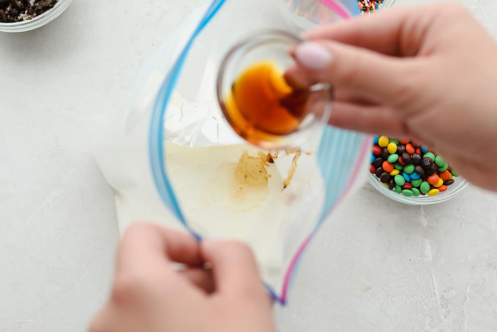 Homemade Ice Cream in a Bag Recipe | The Recipe Critic