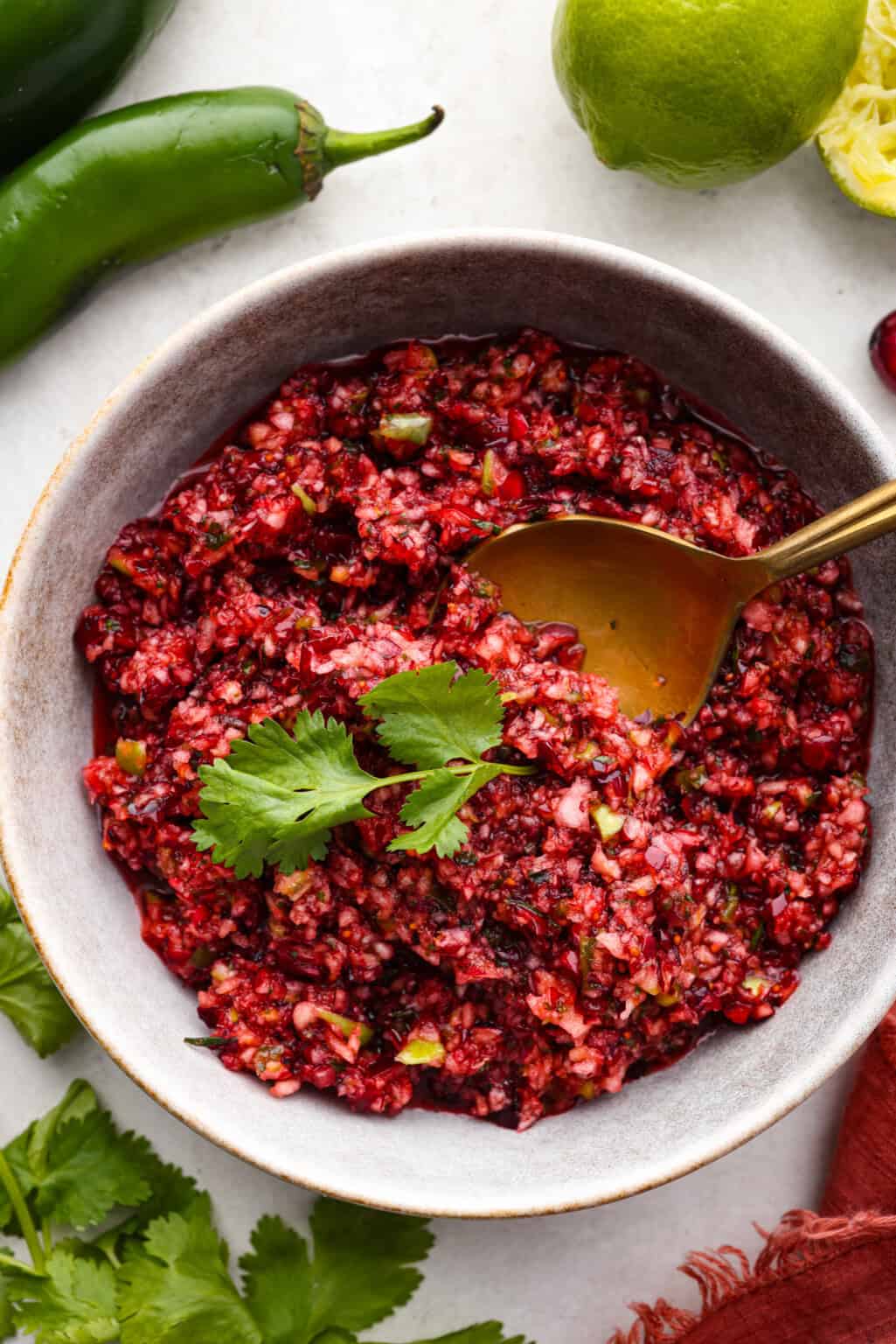 Cranberry Salsa (The Best Holiday Appetizer!) | The Recipe Critic