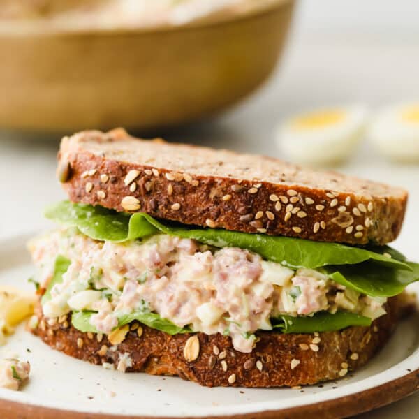 Old Fashioned Ham Salad Recipe | The Recipe Critic