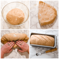 Sprouted Wheat Bread Recipe | The Recipe Critic