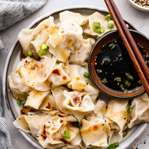 The BEST Pork Wontons | The Recipe Critic