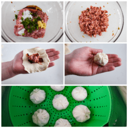 Soup Dumplings (Xiao Long Bao) Recipe| The Recipe Critic