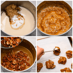 Easy Pecan Praline Recipe | The Recipe Critic