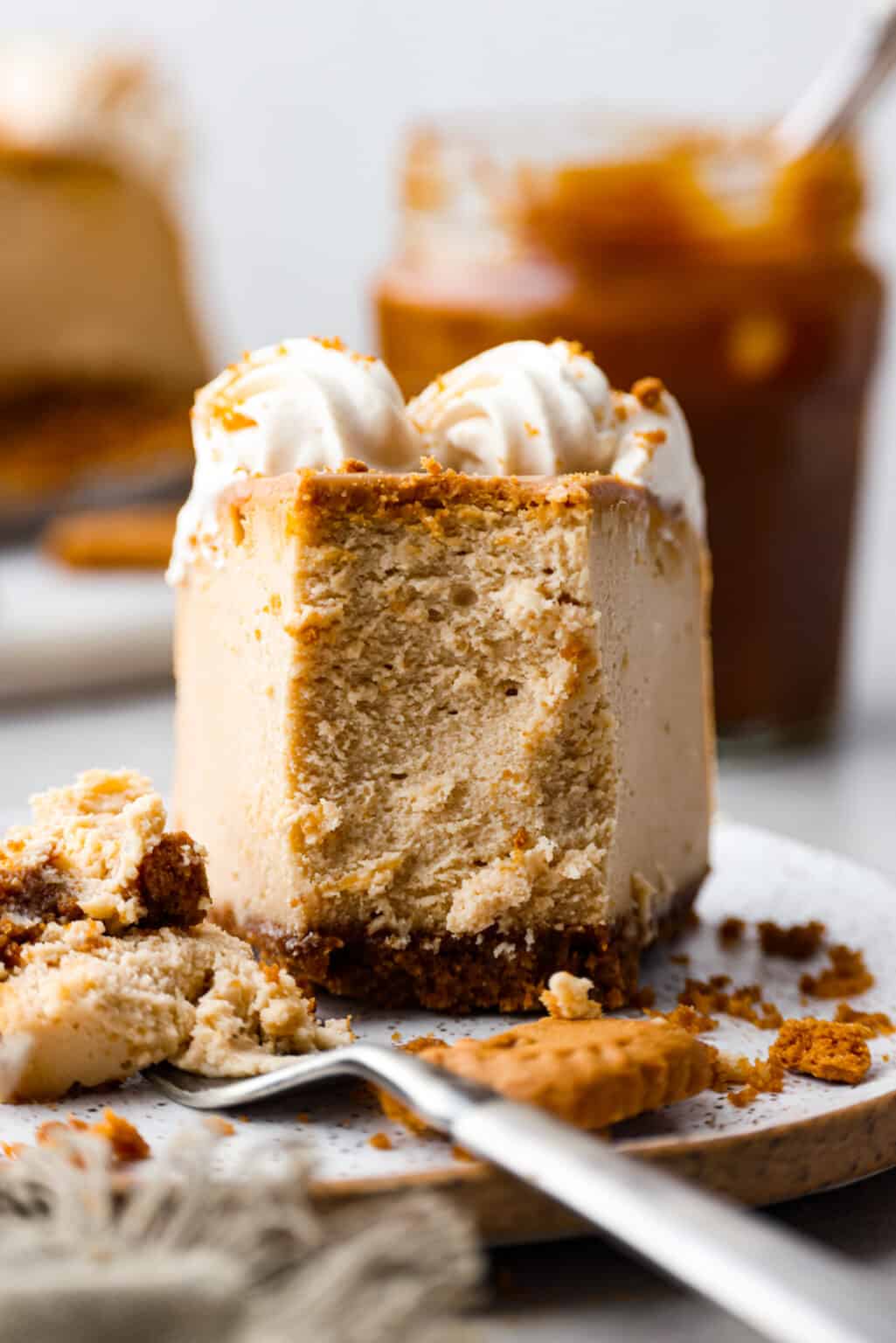 Biscoff Cheesecake Recipe (Cookie Butter Cheesecake) | The Recipe Critic