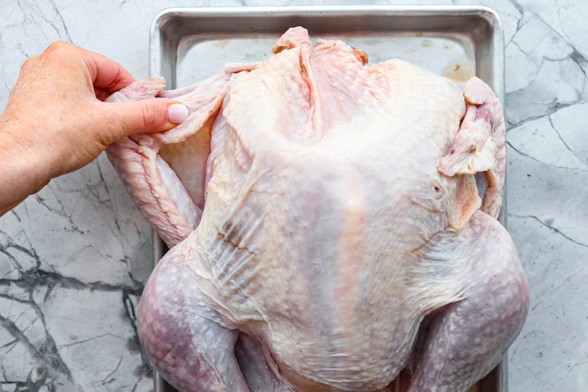 The Juiciest Roasted Turkey Recipe (Step by Step Instructions) | The ...
