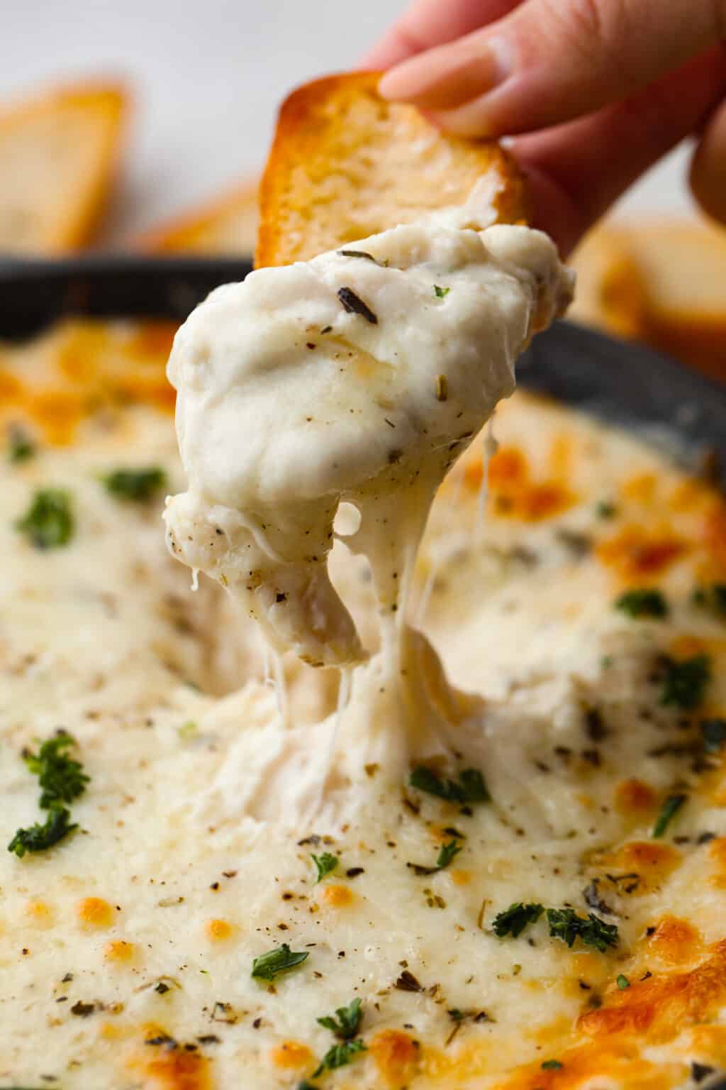 Creamy Chicken Alfredo Dip | The Recipe Critic