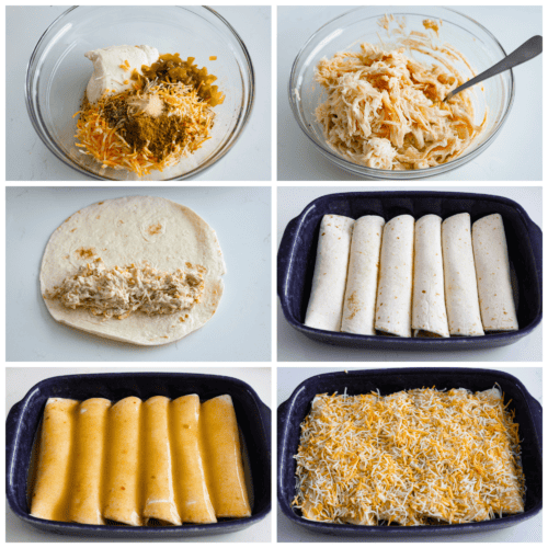 Cream Cheese Enchiladas Recipe | The Recipe Critic