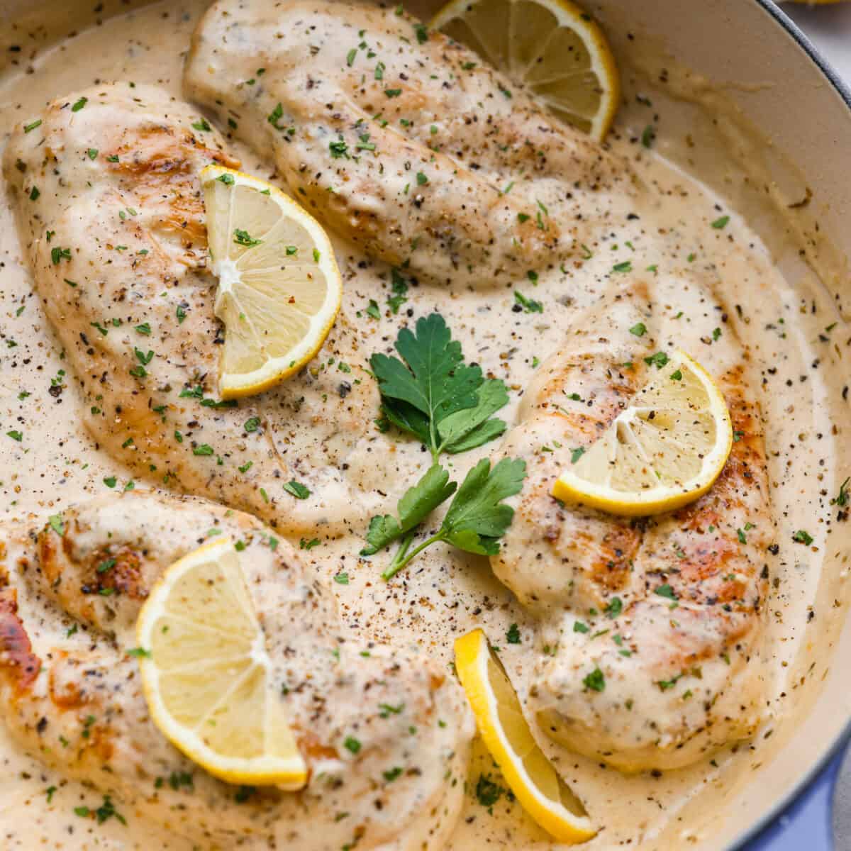 Creamy Lemon Parmesan Chicken