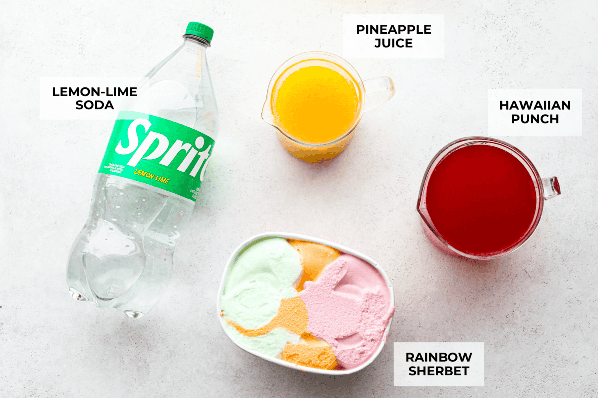 Sherbet Punch | The Recipe Critic