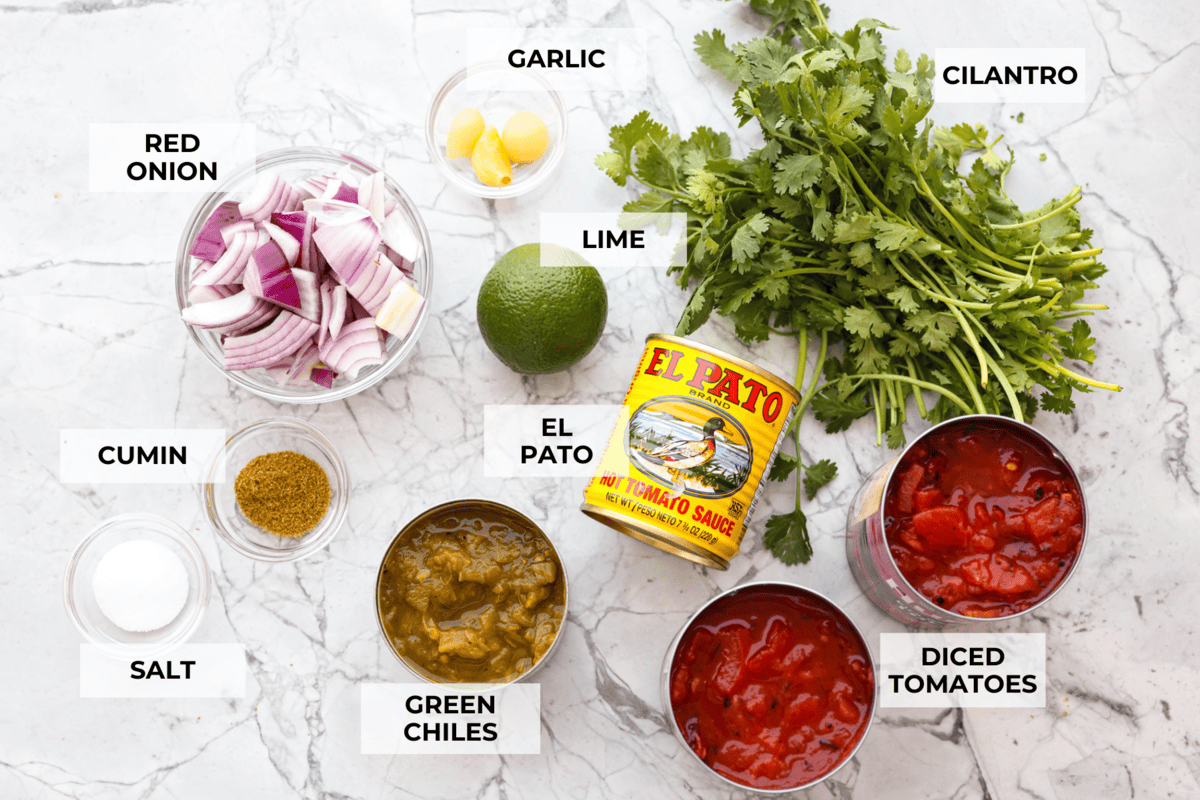 Best Blender Salsa | The Recipe Critic
