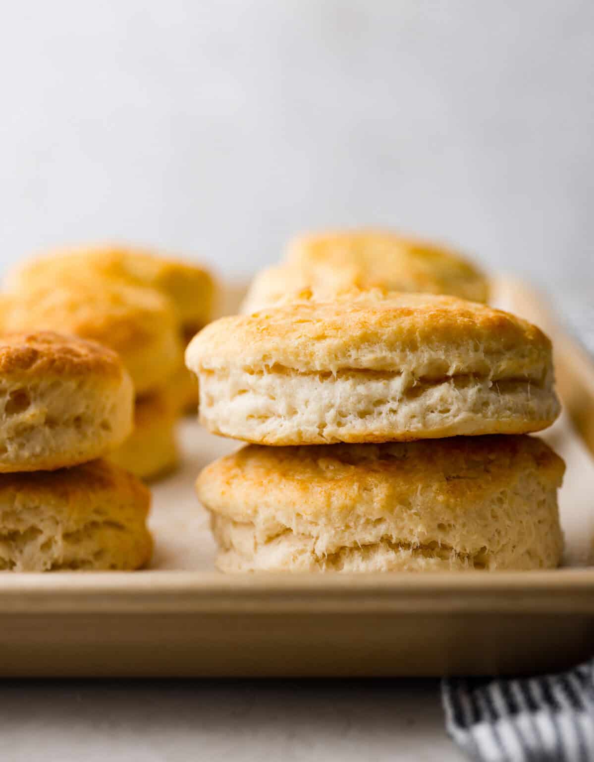 Cream Cheese Biscuits | The Recipe Critic