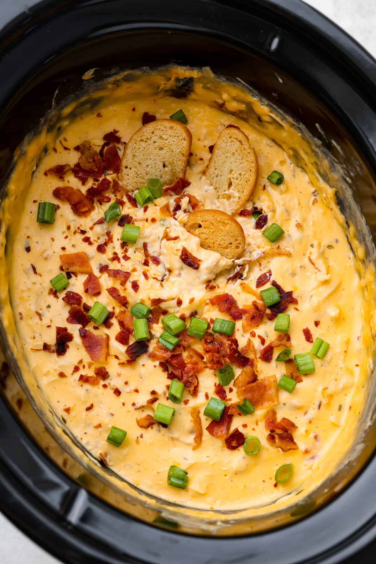 Slow Cooker Crack Chicken Dip | The Recipe Critic