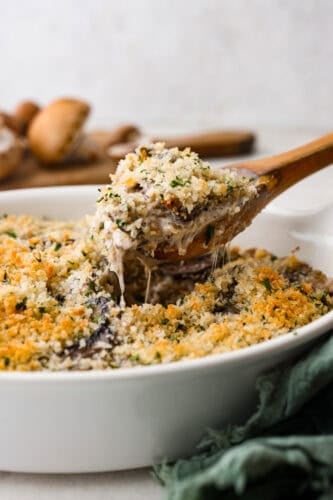 Mushroom Casserole Recipe | The Recipe Critic