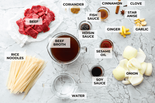 Vietnamese Noodle Soup (Pho) | The Recipe Critic