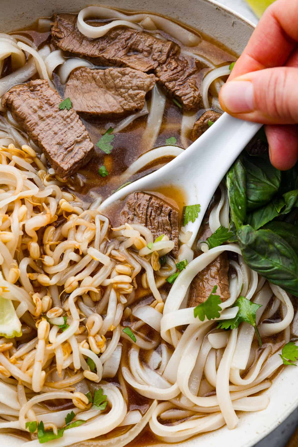 Vietnamese Noodle Soup (Pho) | The Recipe Critic