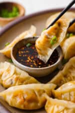 Vegetable Dumplings | The Recipe Critic