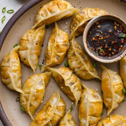 Vegetable Dumplings | The Recipe Critic