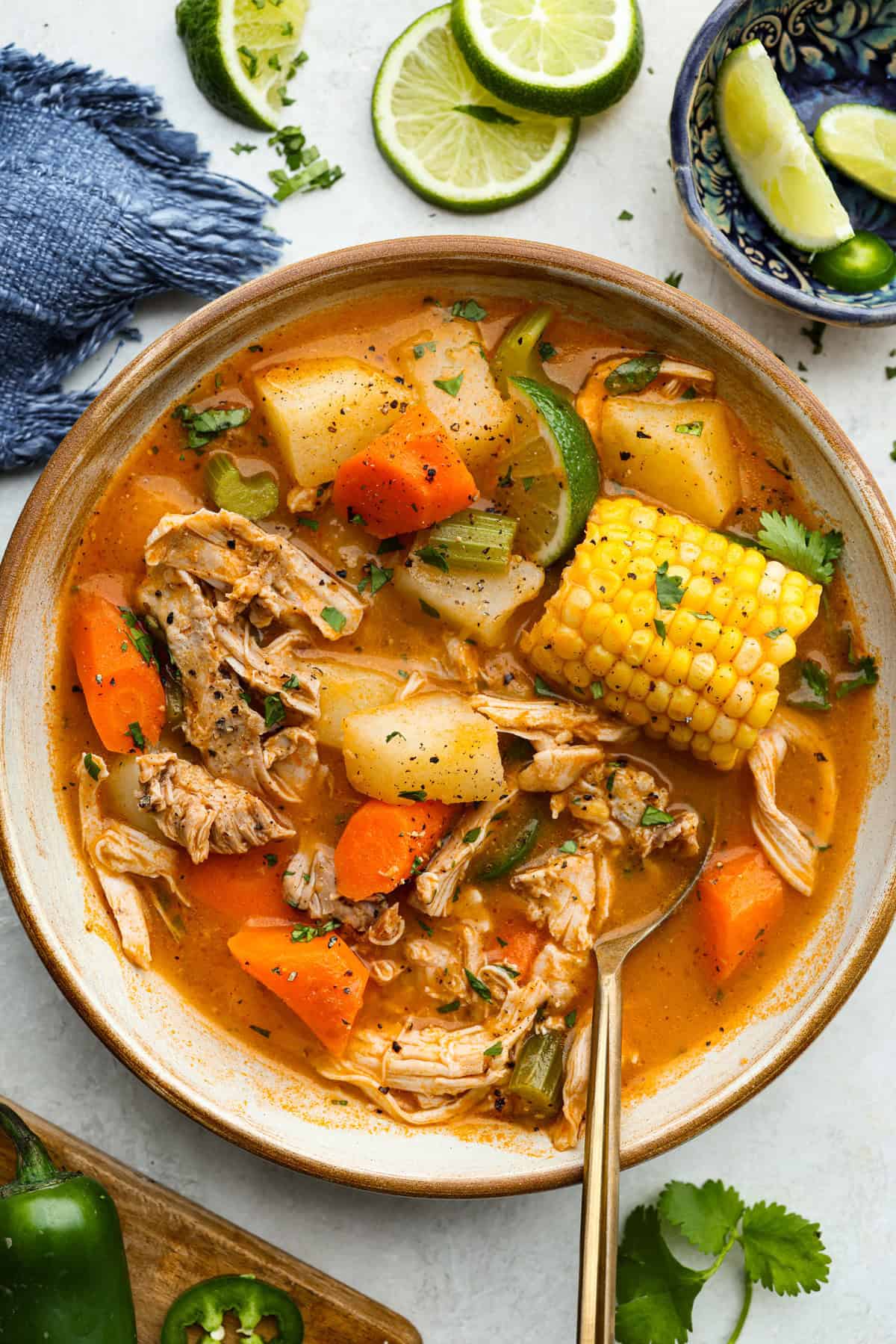 Caldo de Pollo (Mexican Chicken Soup) | The Recipe Critic