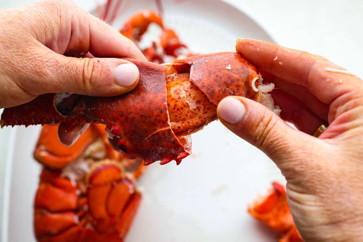 How to Boil Lobster | The Recipe Critic