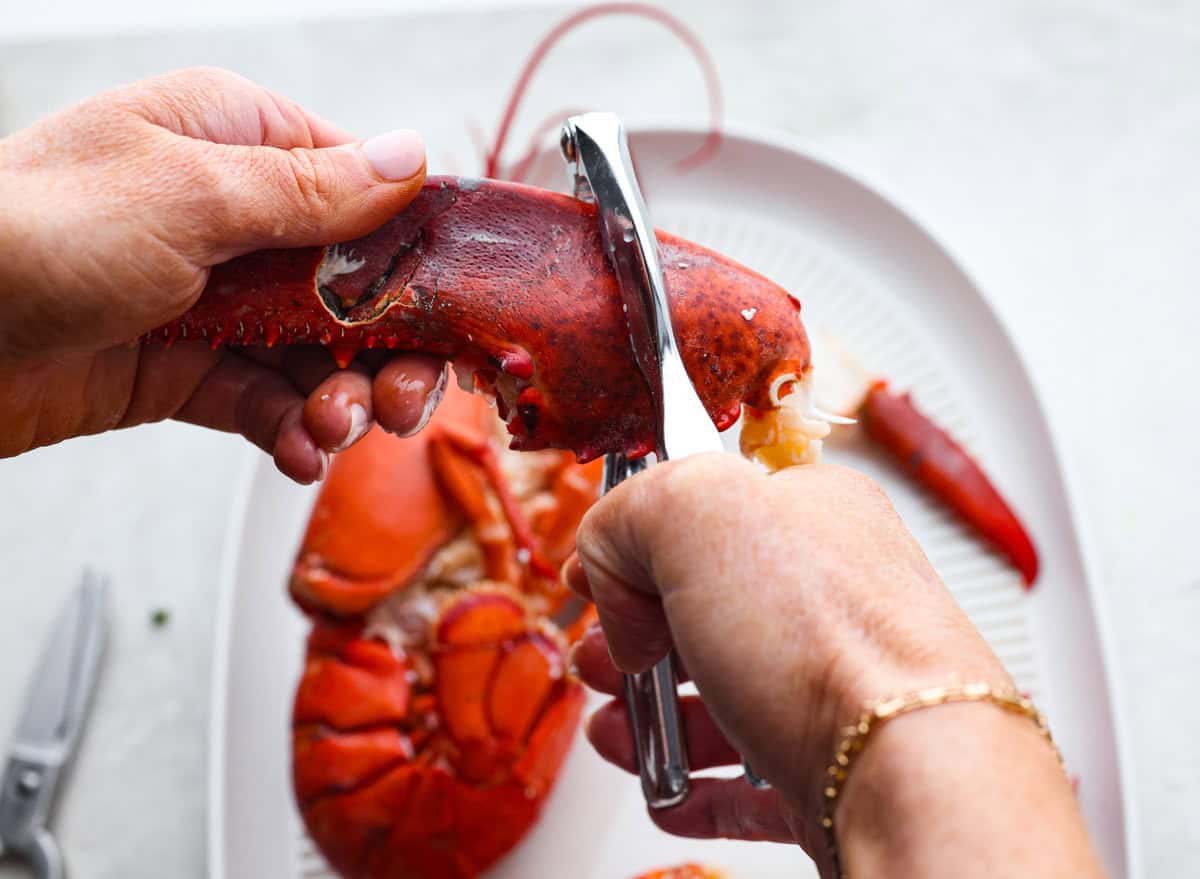 How to Boil Lobster | The Recipe Critic