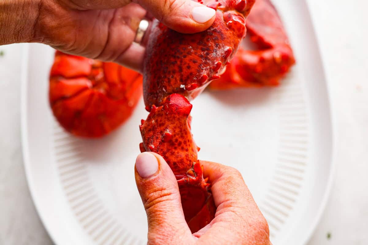 How to Boil Lobster | The Recipe Critic