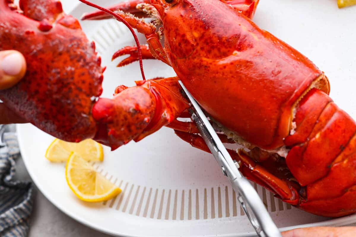How to Boil Lobster | The Recipe Critic