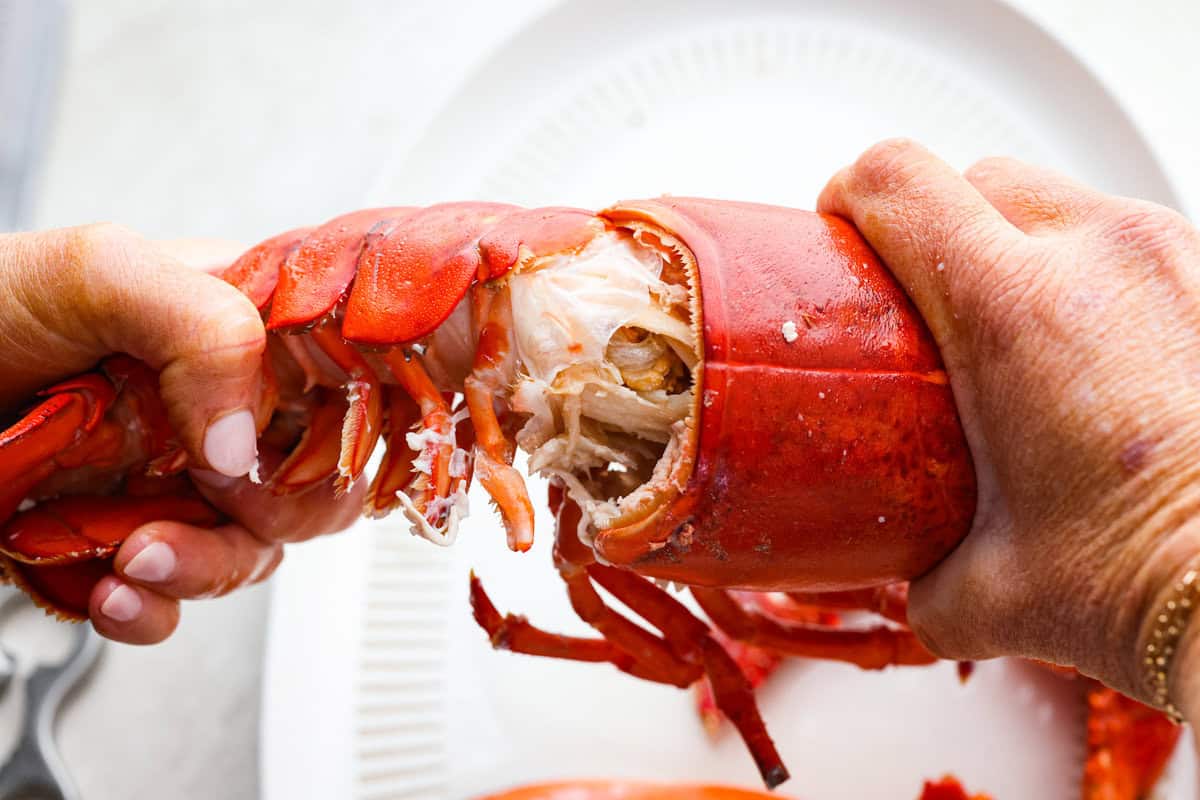 How to Boil Lobster | The Recipe Critic