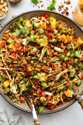 Souper Rice Recipe (Ready in 10 Minutes!) | The Recipe Critic