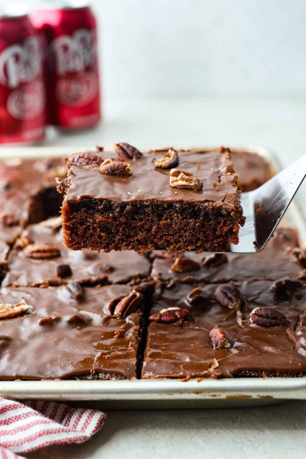 Chocolate Wacky Cake Recipe | The Recipe Critic
