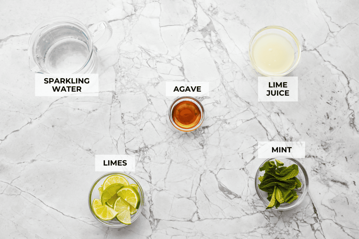 Virgin Mojito Recipe | The Recipe Critic