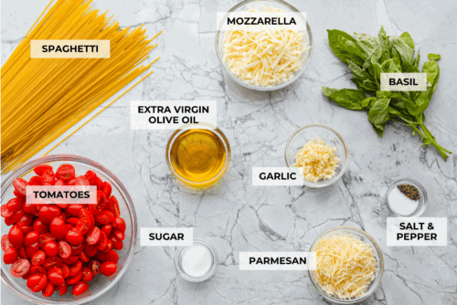Easy Margherita Spaghetti with Fresh Tomatoes & Basil | The Recipe Critic