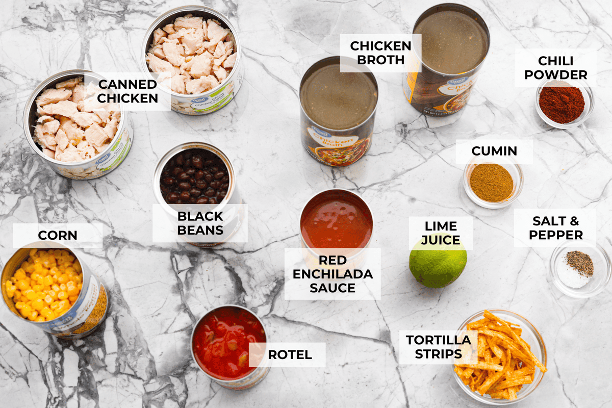 8 Can Chicken Tortilla Soup - Easy One-Pot Dinner | The Recipe Critic