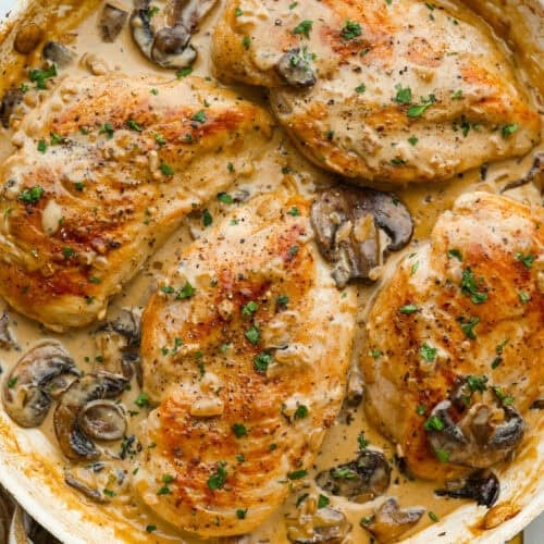 Creamy Chicken Diane Recipe | The Recipe Critic